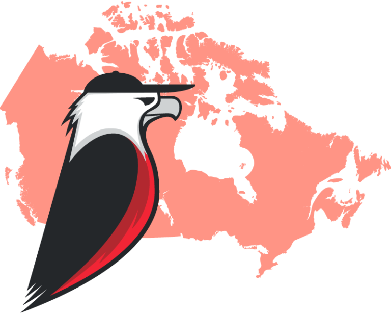 How to Start an E-Commerce Business in Canada | Chit Chats